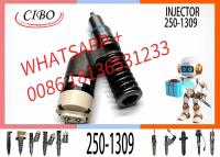 China Diesel Nozzle Assembly Common Rail Injector 2501309 250 1309 250-1309 For C13 C15 Engine for sale