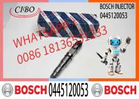 China 0445 120 053 Common Rail Injector 0 445 120 053 nozzle injector 0445120053 for Engine for sale