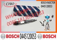 China 0445 120 053 Common Rail Injector 0 445 120 053 nozzle injector 0445120053 for Engine for sale
