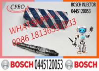 China 0445 120 053 Common Rail Injector 0 445 120 053 nozzle injector 0445120053 for Engine for sale