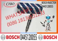 China High Quality Common Rail Injector 5010550955 5010477499 0445120015 0986435515 for Diesel Nozzle Assembly for sale