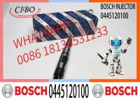 China fuel injector diesel engine car excavator 0445120100 0445120219 0445120275 0445120087 0445120086 0445120081 injecto for sale