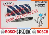 China fuel injector diesel engine car excavator 0445120100 0445120219 0445120275 0445120087 0445120086 0445120081 injecto for sale