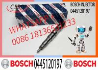 China 0445120197 High Quality Common Rail Injector 0 445 120 197 Diesel Injector Nozzles 0 445 120 197 for 0445120197 for sale