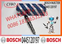China 0445120197 High Quality Common Rail Injector 0 445 120 197 Diesel Injector Nozzles 0 445 120 197 for 0445120197 for sale