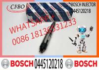 China fuel injector diesel engine auto car excavator 0445120218 0445120274 0445120070 0445120241 0445120066 0445120078 injecto for sale