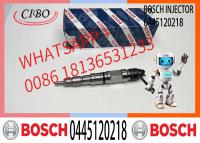 China fuel injector diesel engine auto car excavator 0445120218 0445120274 0445120070 0445120241 0445120066 0445120078 injecto for sale