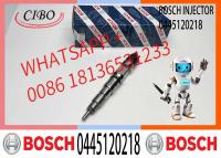 China fuel injector diesel engine auto car excavator 0445120218 0445120274 0445120070 0445120241 0445120066 0445120078 injecto for sale