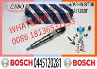 China NEW 0445120281 Fuel Pump Assembly 0 445 120 281 Common Rail Injector 0445 120 281 Injector for 0445120281 for sale