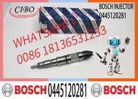 China NEW 0445120281 Fuel Pump Assembly 0 445 120 281 Common Rail Injector 0445 120 281 Injector for 0445120281 for sale