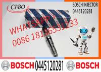 China NEW 0445120281 Fuel Pump Assembly 0 445 120 281 Common Rail Injector 0445 120 281 Injector for 0445120281 for sale