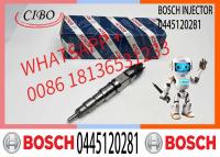 China NEW 0445120281 Fuel Pump Assembly 0 445 120 281 Common Rail Injector 0445 120 281 Injector for 0445120281 for sale