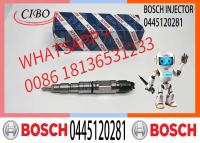 China NEW 0445120281 Fuel Pump Assembly 0 445 120 281 Common Rail Injector 0445 120 281 Injector for 0445120281 for sale