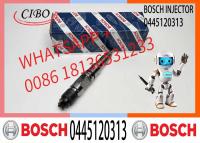 China High Quality Nozzles 0445120313 Fuel Injection Systems 0 445 120 313 Common Rail Injector 0445 120 313 for MAN 044512031 for sale