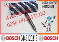 China High Quality Nozzles 0445120313 Fuel Injection Systems 0 445 120 313 Common Rail Injector 0445 120 313 for MAN 044512031 for sale