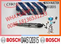 China High Quality Diesel Engine Fuel Common Rail Injector 04451203160 0445120317 0445120315 51101006147New Diesel Common Rai for sale