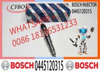 China High Quality Diesel Engine Fuel Common Rail Injector 04451203160 0445120317 0445120315 51101006147New Diesel Common Rai for sale