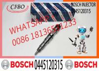 China High Quality Diesel Engine Fuel Common Rail Injector 04451203160 0445120317 0445120315 51101006147New Diesel Common Rai for sale