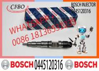 China Fuel Injector 0986435505 0445120032 0445120103 0445120114 0 445120208 0445120316 0445120238 for sale