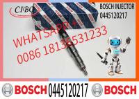 China Common Rail Fuel Injector 0 445 120 217 Diesel Injector 0445120217 for sale