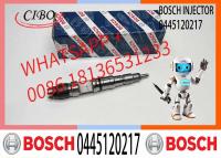 China Common Rail Fuel Injector 0 445 120 217 Diesel Injector 0445120217 for sale