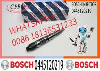China Common Rail Injector 0445120219 0445120100 0445120275 51101006127 for Man Truck for sale