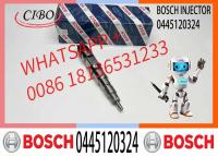 China High Quality Diesel Fuel Injector Common Rail Injector Assembly 0445120324 for sale