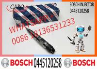 China Common Rail Diesel fuel Injector 0445120258 4009030031 for DOOSAN excavator DX350-3 for sale