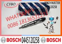 China Common Rail Diesel fuel Injector 0445120258 4009030031 for DOOSAN excavator DX350-3 for sale