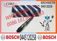 China Common Rail Diesel fuel Injector 0445120258 4009030031 for DOOSAN excavator DX350-3 for sale
