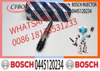 China 0445 120 234 Injection Pump Repair 0445120234 Diesel Fuel Injectors 0 445 120 234 for Car Engine for sale