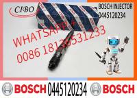 China 0445 120 234 Injection Pump Repair 0445120234 Diesel Fuel Injectors 0 445 120 234 for Car Engine for sale