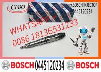 China 0445 120 234 Injection Pump Repair 0445120234 Diesel Fuel Injectors 0 445 120 234 for Car Engine for sale