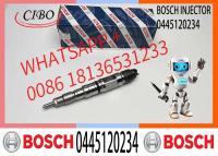China 0445 120 234 Injection Pump Repair 0445120234 Diesel Fuel Injectors 0 445 120 234 for Car Engine for sale