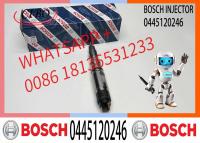 China Genuine Brand New Diesel Common Rail Fuel Injector 0445120246 for sale