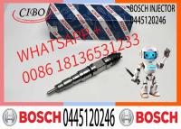 China Genuine Brand New Diesel Common Rail Fuel Injector 0445120246 for sale