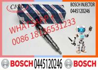 China Genuine Brand New Diesel Common Rail Fuel Injector 0445120246 for sale