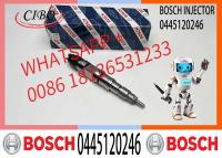 China Genuine Brand New Diesel Common Rail Fuel Injector 0445120246 for sale