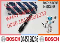 China Genuine Brand New Diesel Common Rail Fuel Injector 0445120246 for sale