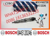 China Genuine Brand New Diesel Common Rail Fuel Injector 0445120246 for sale
