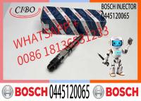 China Common Rail Fuel Injector Diesel Injectors 04290988 0986435559 0445120065 for sale