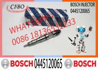 China Common Rail Fuel Injector Diesel Injectors 04290988 0986435559 0445120065 for sale