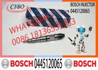 China Common Rail Fuel Injector Diesel Injectors 04290988 0986435559 0445120065 for sale