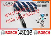 China Common Rail Fuel Injector Diesel Injectors 04290988 0986435559 0445120065 for sale