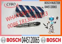 China Common Rail Fuel Injector Diesel Injectors 04290988 0986435559 0445120065 for sale