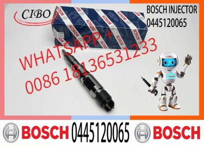 China Common Rail Fuel Injector Diesel Injectors 04290988 0986435559 0445120065 for sale