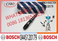 China High Quality New Diesel Fuel Injector 0445120179 Common Rail Fuel Injection Nozzle 3005 555 C91 for sale