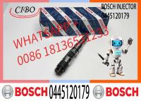 China High Quality New Diesel Fuel Injector 0445120179 Common Rail Fuel Injection Nozzle 3005 555 C91 for sale