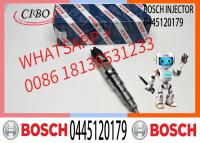 China High Quality New Diesel Fuel Injector 0445120179 Common Rail Fuel Injection Nozzle 3005 555 C91 for sale