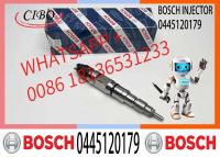 China High Quality New Diesel Fuel Injector 0445120179 Common Rail Fuel Injection Nozzle 3005 555 C91 for sale